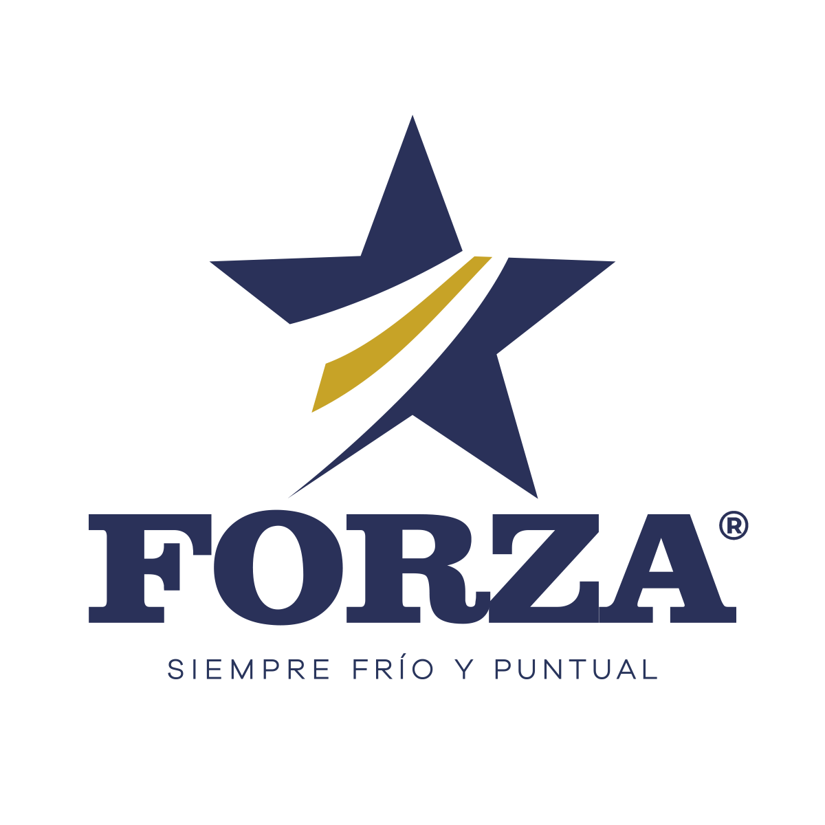 Aviso de privacidad - Forza Transportes