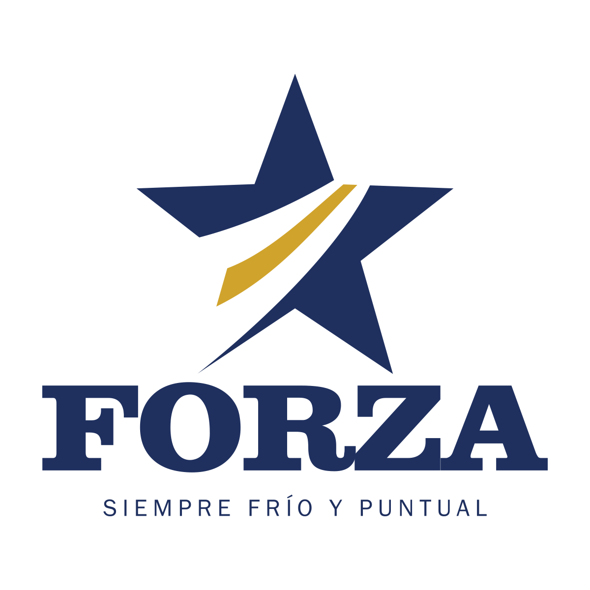 Forza Transportes - Expertos en Transportes Refrigerados