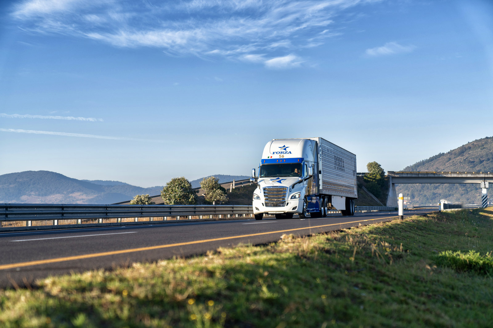 Servicio de transporte refrigerado - Forza Transportes