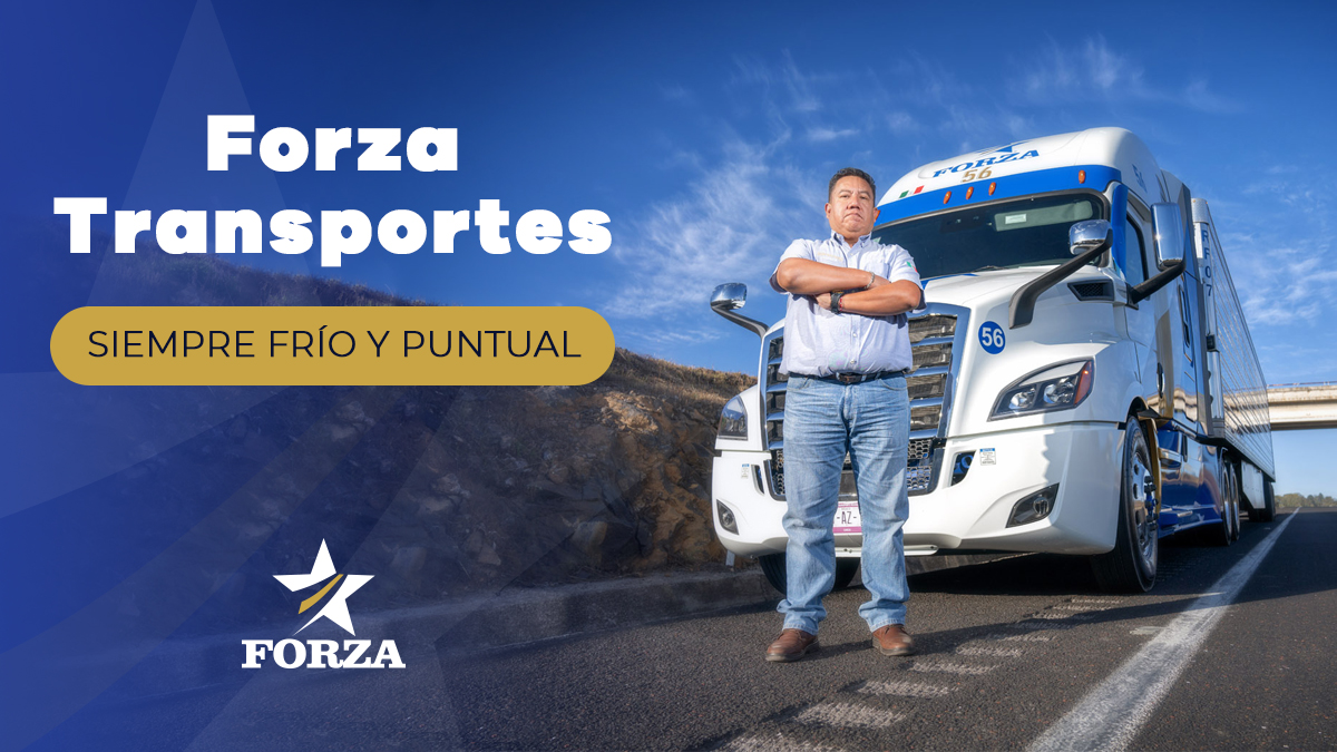 Blog - Forza Transportes